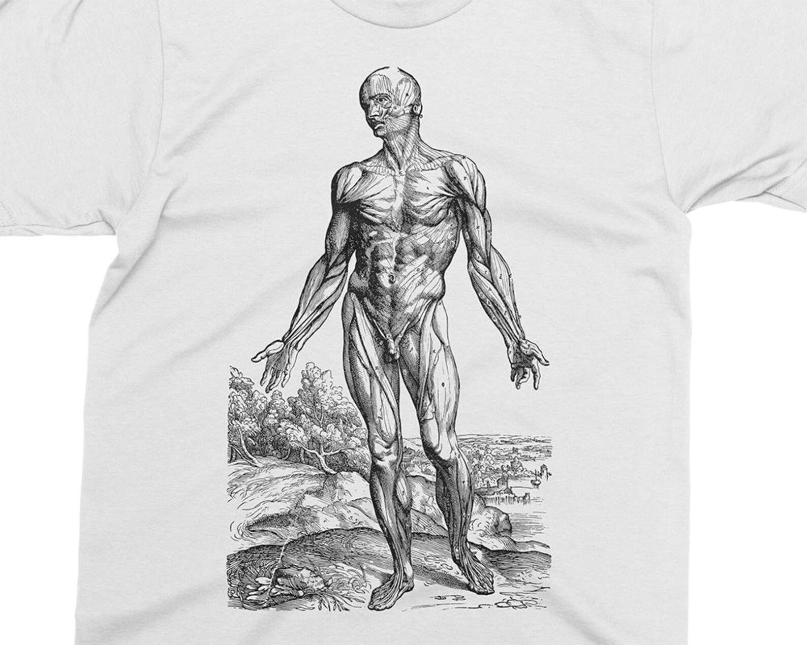 Skinless Man - Muscles 03 - Andreas Vesalius T-shirt, Gift for Medical ...