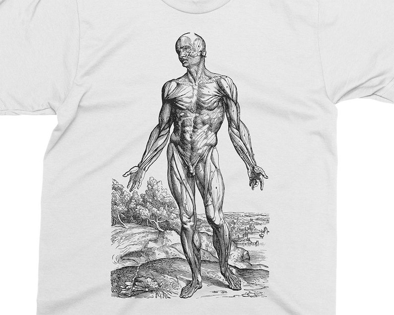 Skinless Man Muscles 03 Andreas Vesalius T-shirt Gift for - Etsy