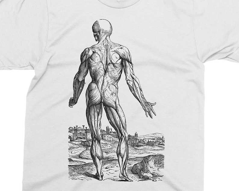 Skinless Man Muscles 09 Andreas Vesalius T-shirt Gift for - Etsy