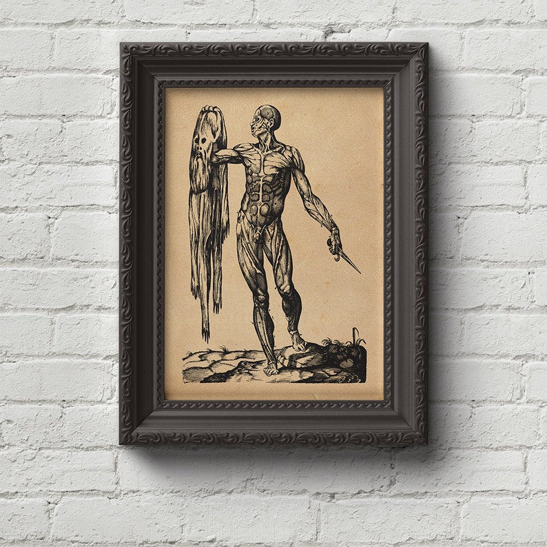 Skinless Man - Andreas Vesalius Print, Wall Art, Art, Woodcut ...