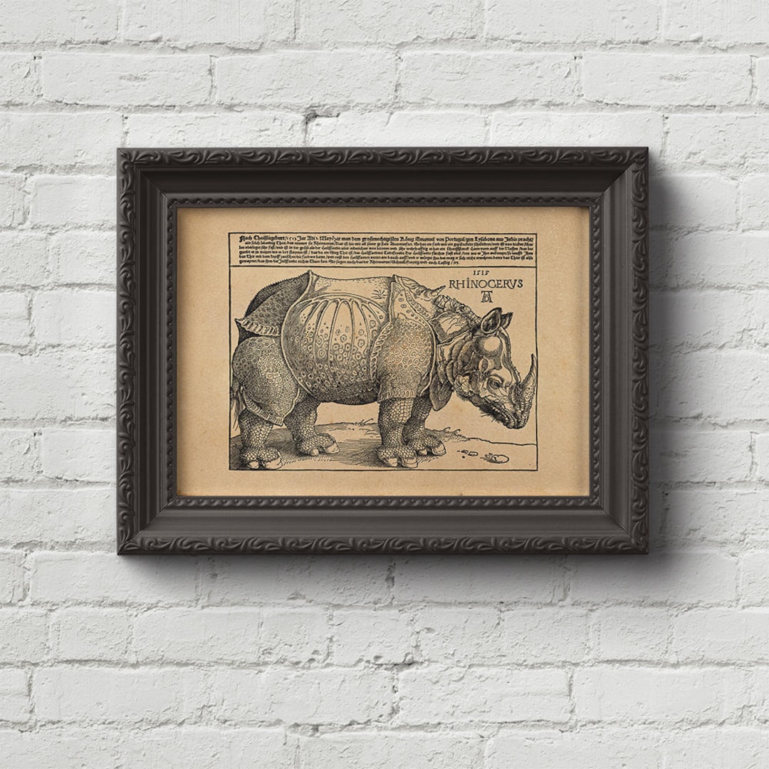 The Rhinoceros - Albrecht Durer Print, Wall Art, Woodcut, Engraving ...