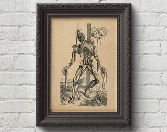 Skinless Man Muscles 02 Andreas Vesalius Art Print | Etsy