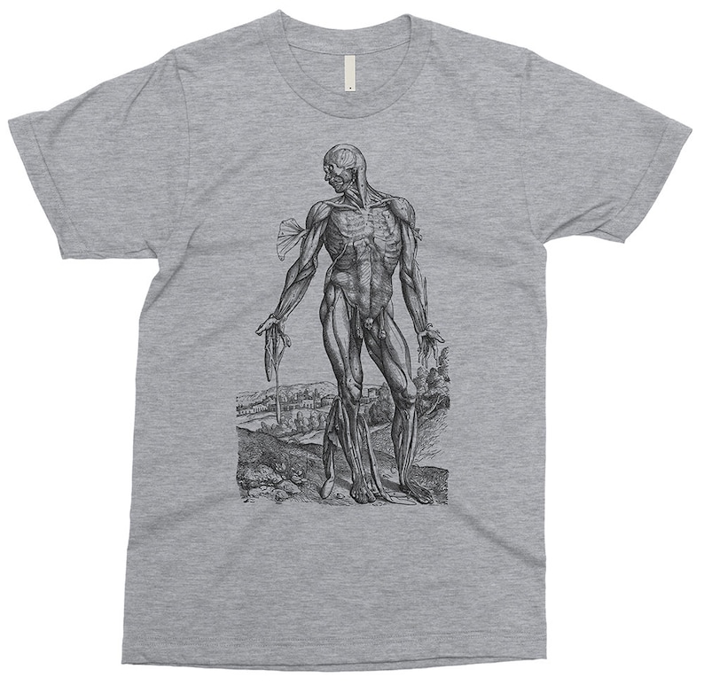 Skinless Man Muscles 04 Andreas Vesalius T-shirt Gift for - Etsy