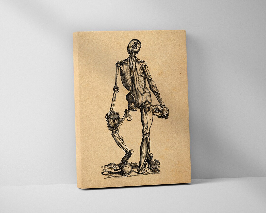 Skinless Man 18 Andreas Vesalius Stretched Canvas Print, Anatomy Art ...