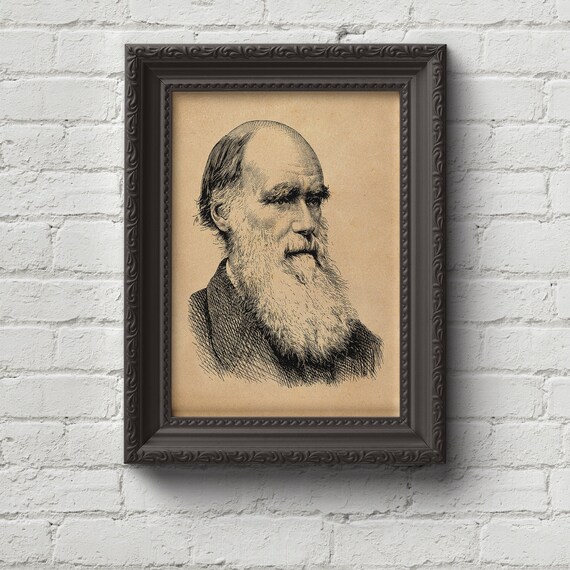 Charles Darwin Print Evolution Poster Science Poster Wall - Etsy