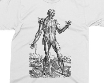 Skinless Man Muscles 01 Andreas Vesalius T-shirt Gift for | Etsy