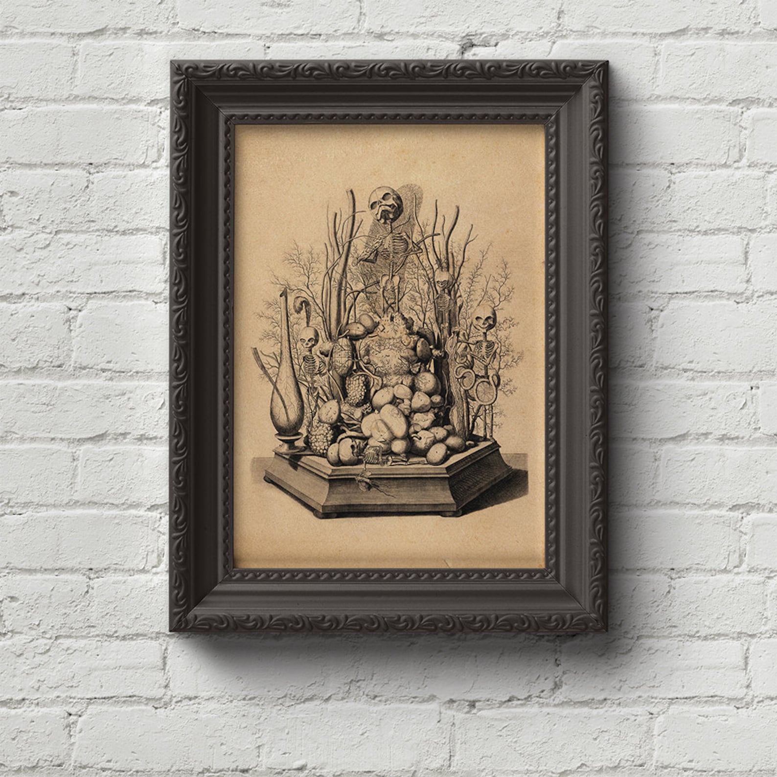 Infant Skeletons Frederick Ruysch Print Wall Art Art - Etsy