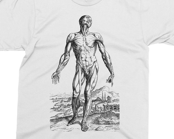 Skinless Man Muscles 01 Andreas Vesalius T-shirt Gift for | Etsy
