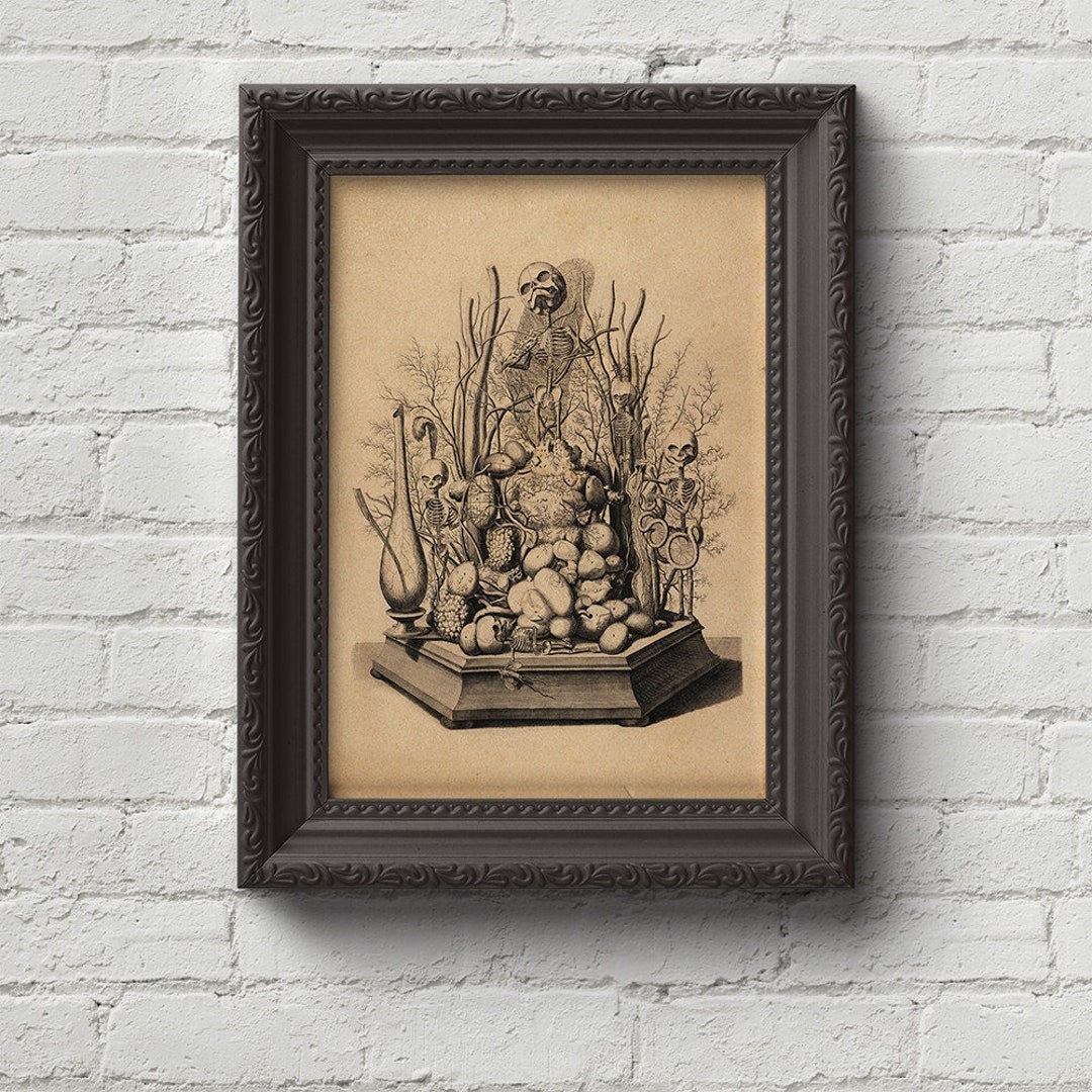 Infant Skeletons - Frederick Ruysch Print, Wall Art, Art, Woodcut ...