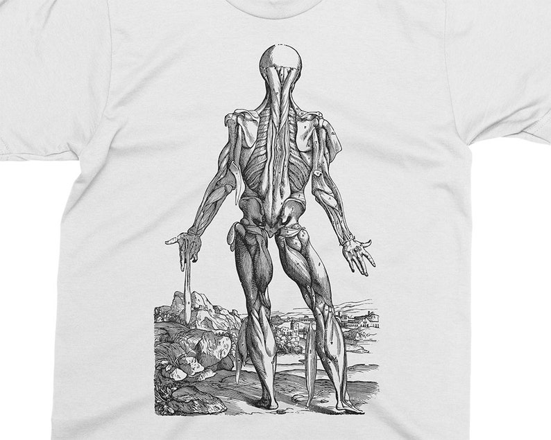 Skinless Man Muscles 12 Andreas Vesalius T-shirt Gift for | Etsy