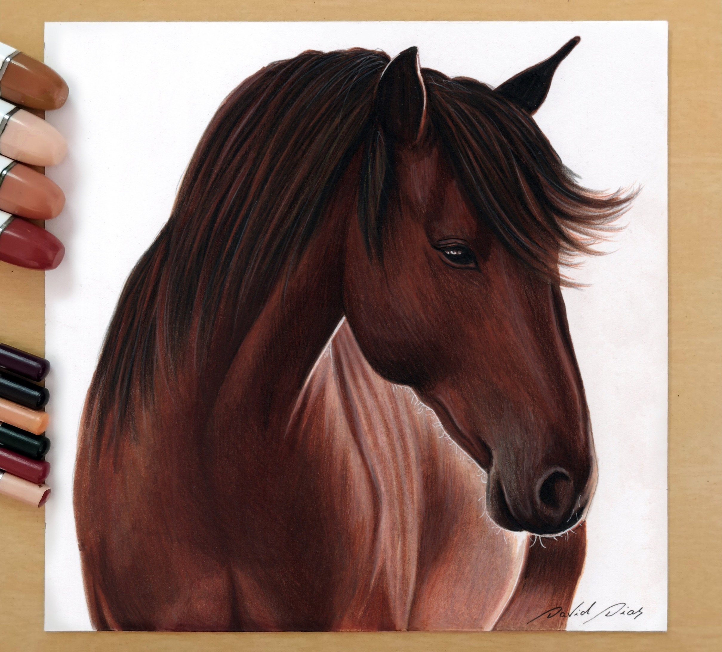 Realistic Horse Sketches