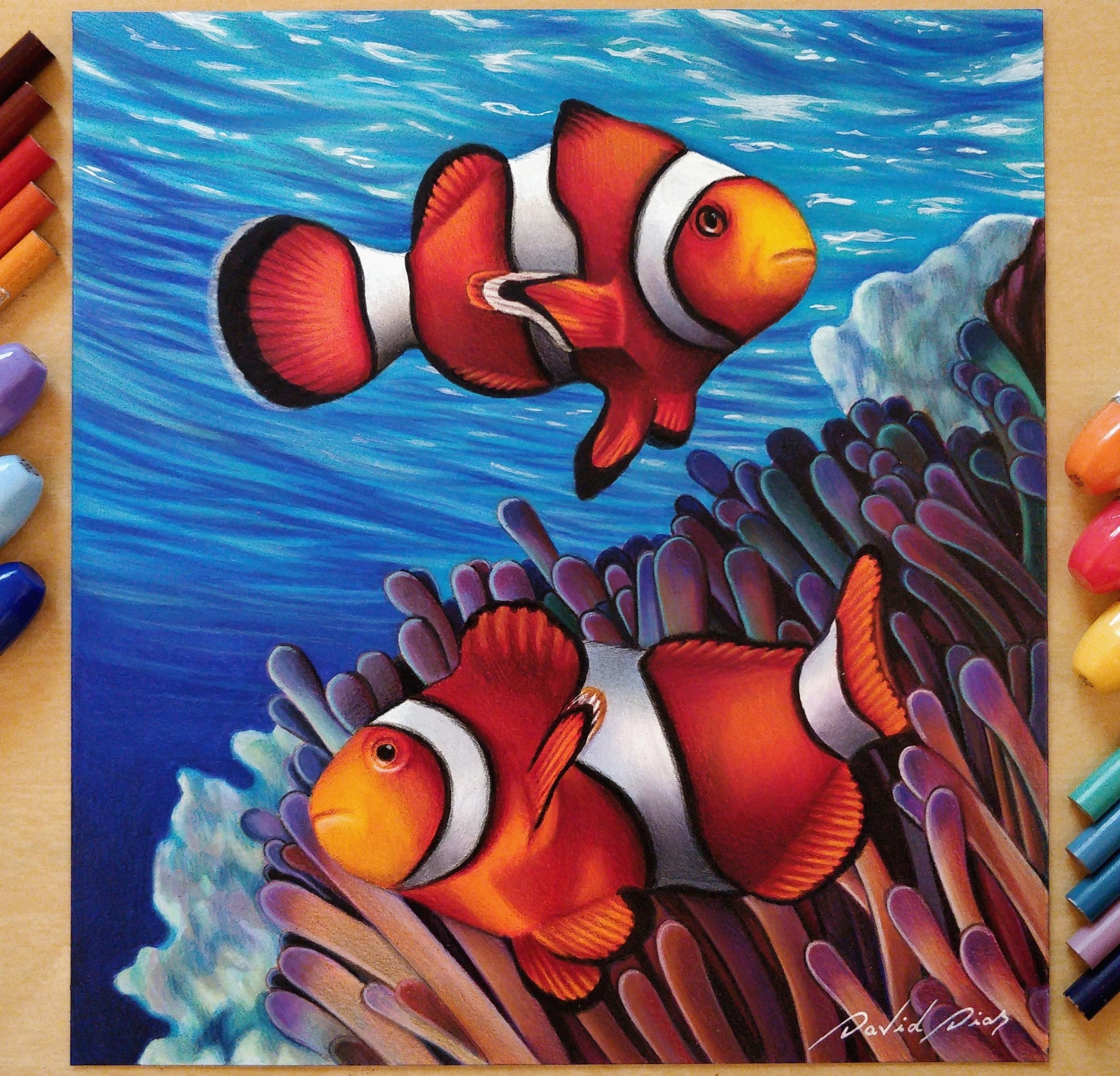 Clownfish Drawing