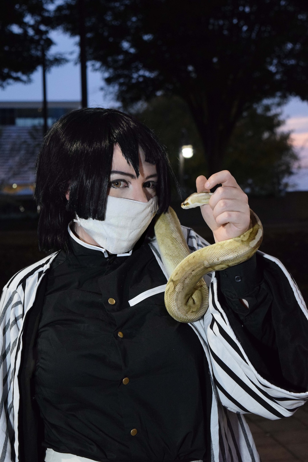 Snake Hashira Cosplay - Etsy