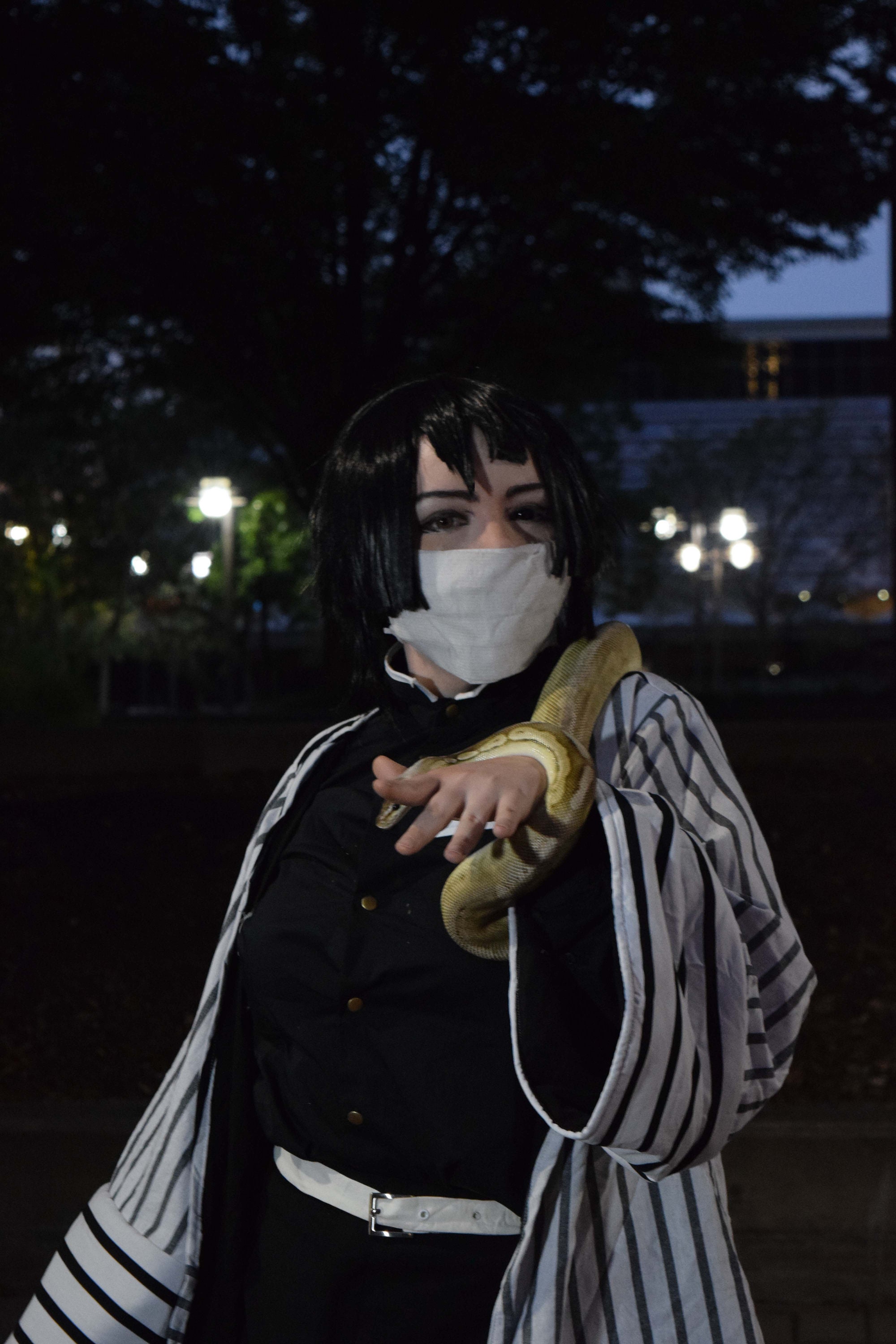 Snake Hashira Cosplay - Etsy