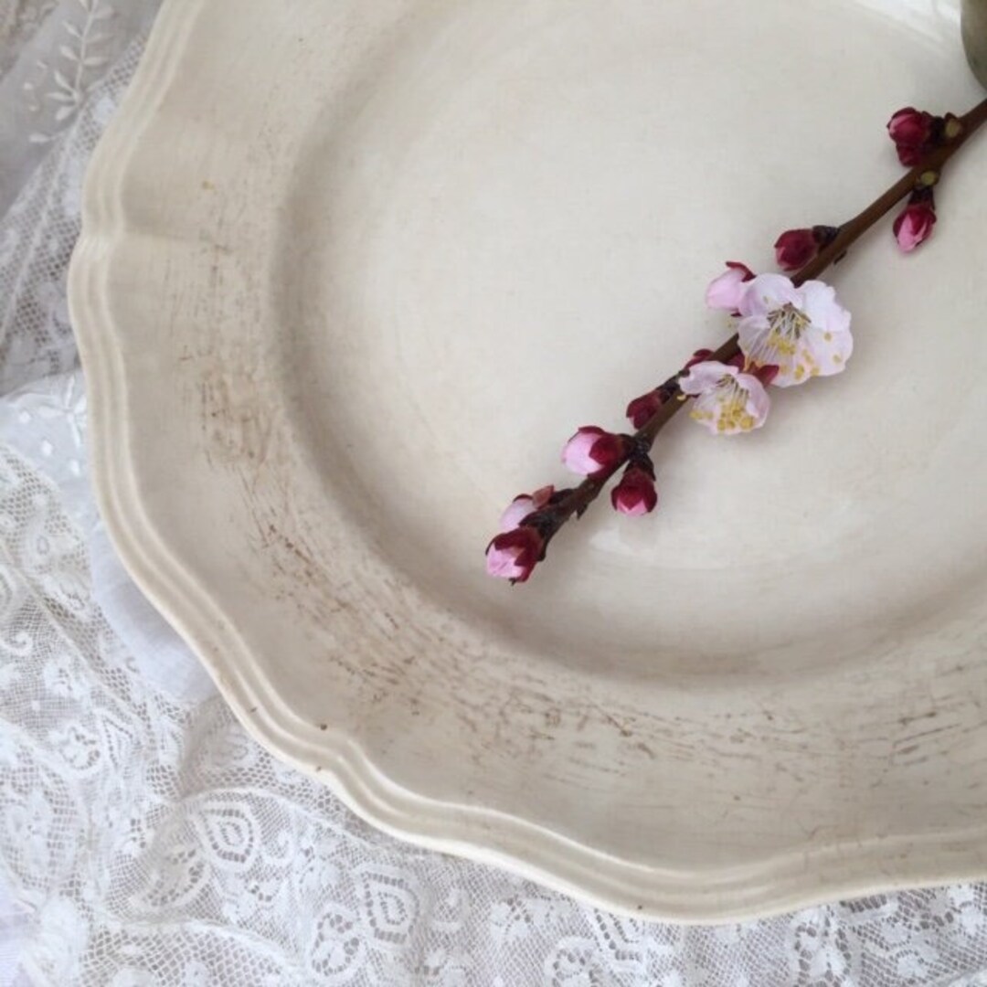 Old French Creamware DINNER PLATE Dish SARREGUEMINES Salgumin Louis ...