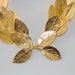 Golden Laurel Wreath Crown Ancient Greek Style Bay Leaves Leaf Crown ...