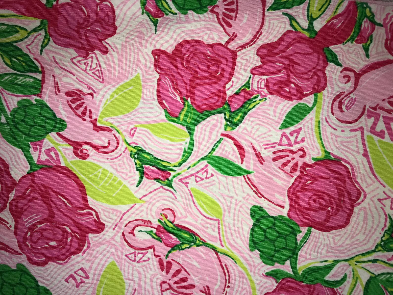 Delta Zeta Sorority Rain Jacket - Etsy