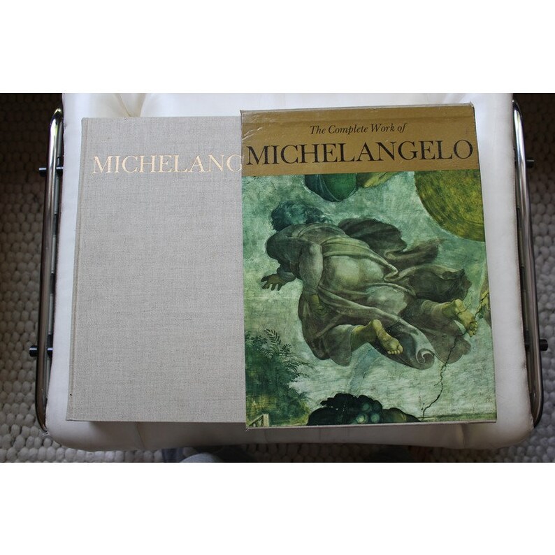 The Complete Work of Michelangelo 1966 Art Books Two Books Hardcover ...