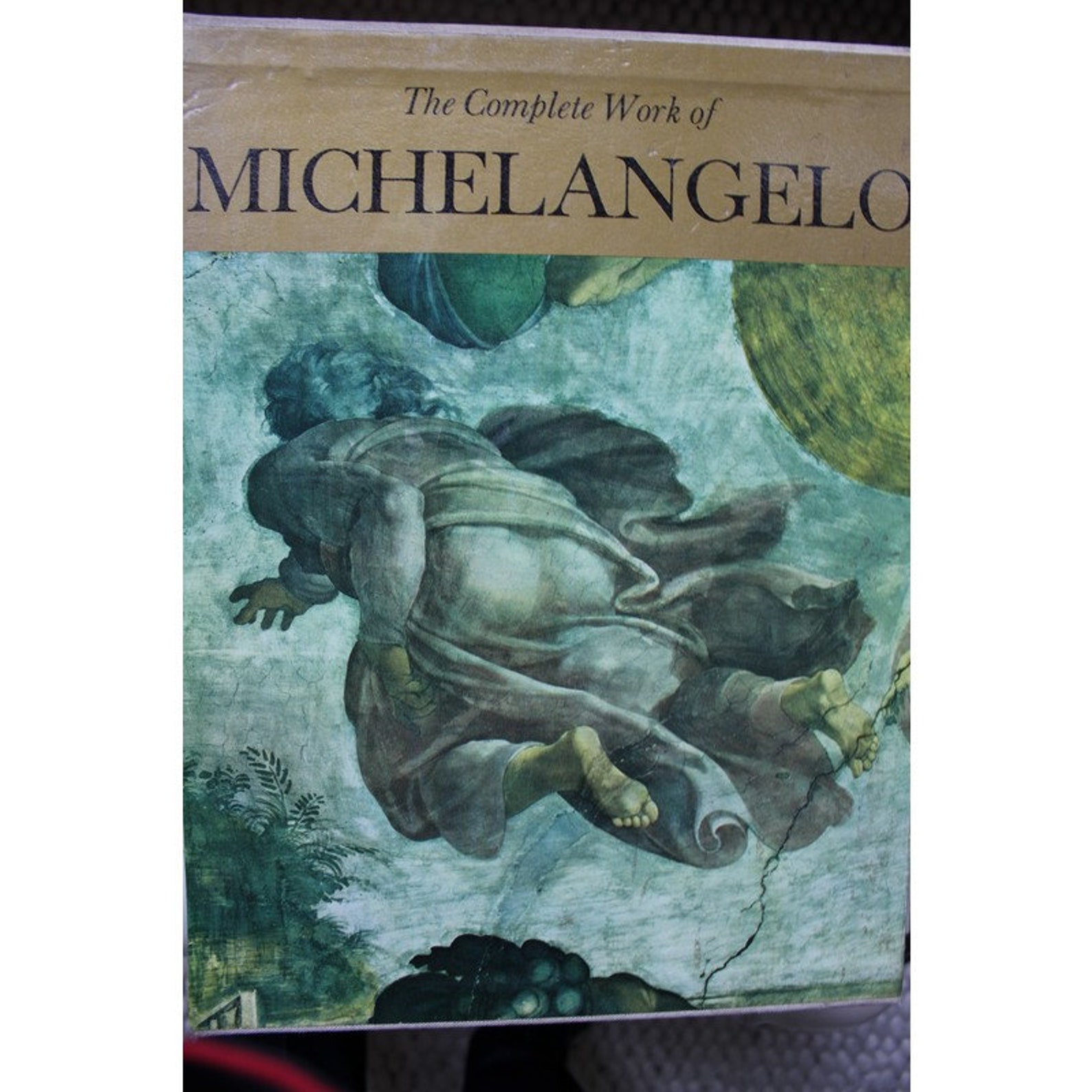 The Complete Work of Michelangelo 1966 Art Books Two Books ...