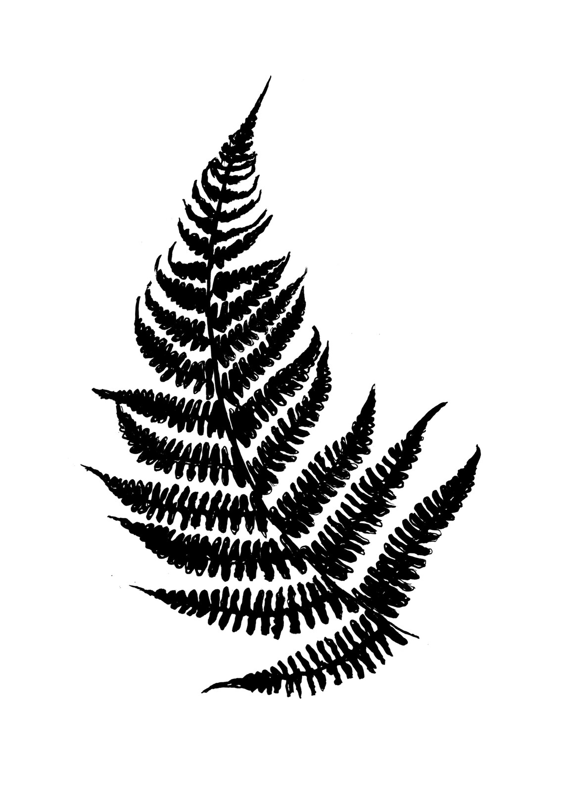 Fern Leaf Botanical Print Digital Download Instant Printable Wall Art ...