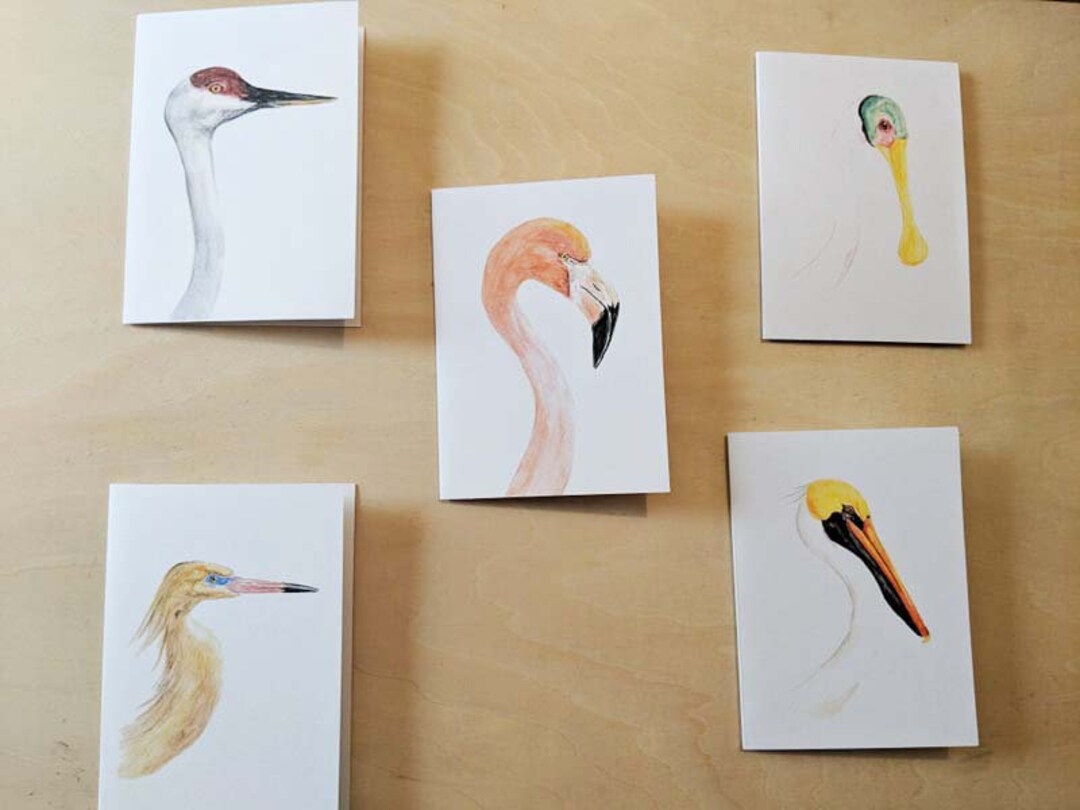 4x5.5 Florida Bird Note Cards. Prints From My Original Artwork Set of ...