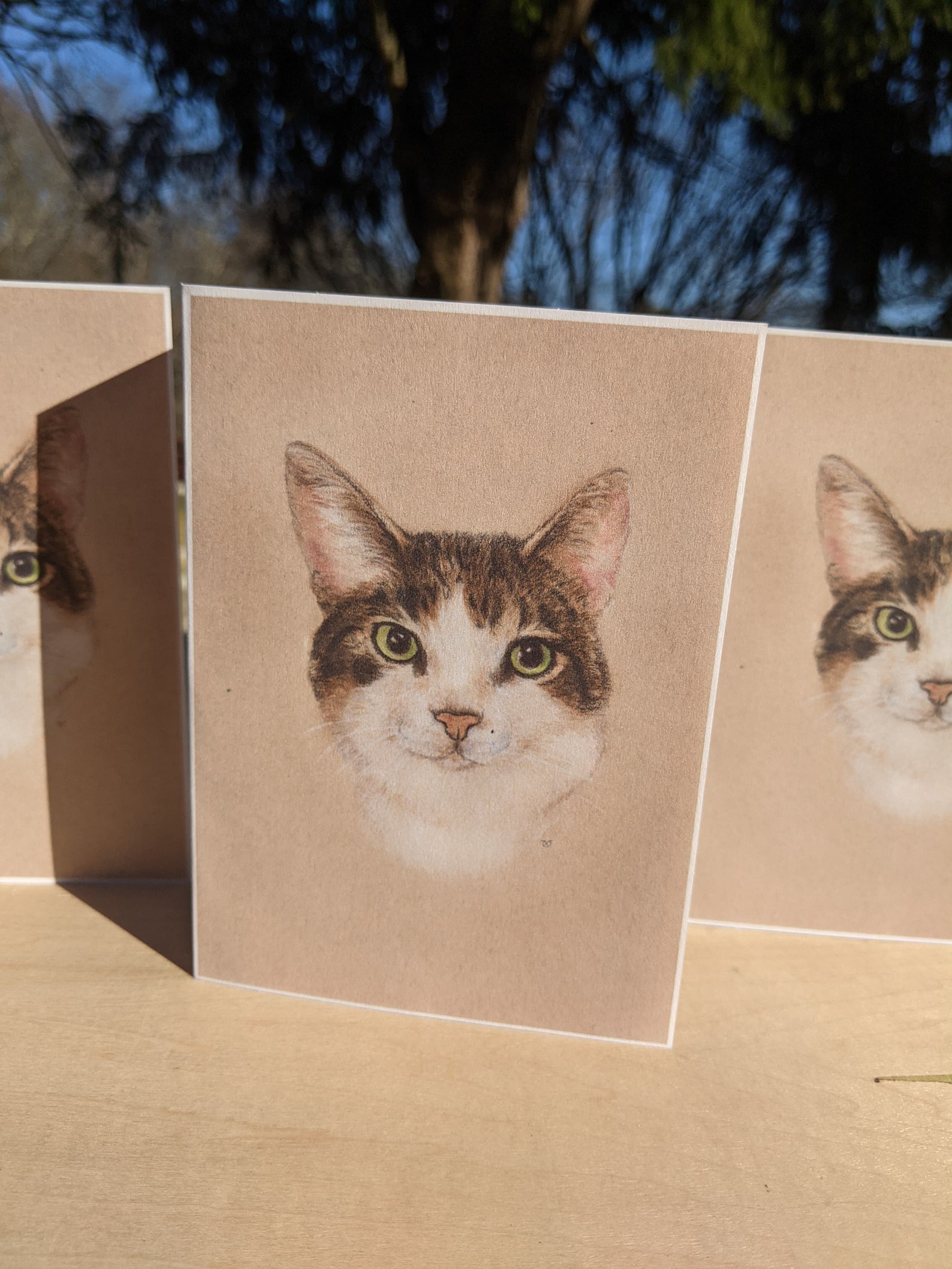 4x5.5 Cat Note Cards. Prints From My Original Artwork Set of - Etsy