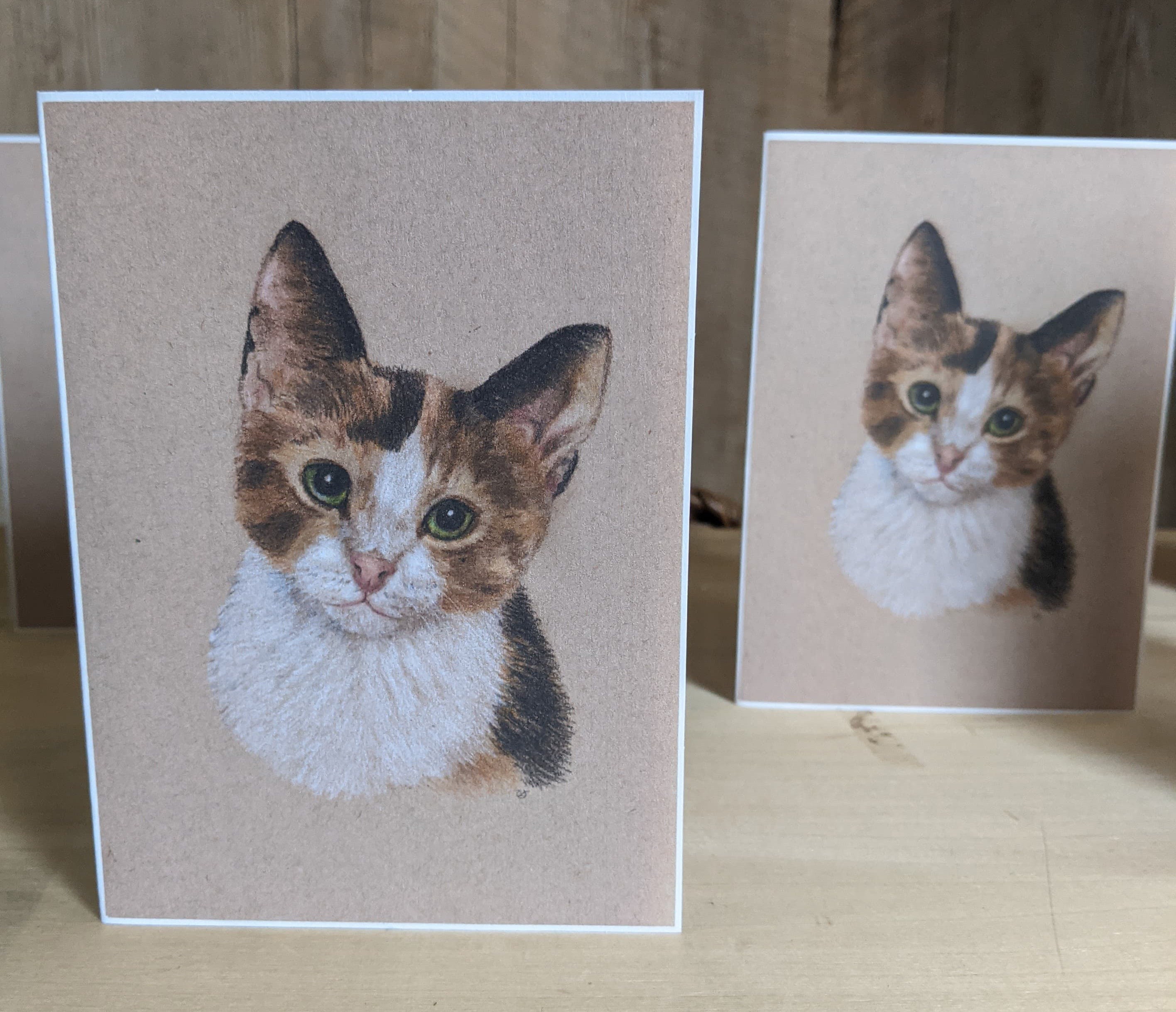 4x5.5 Calico Cat Note Cards. Prints From My Original Artwork Set of 10 ...