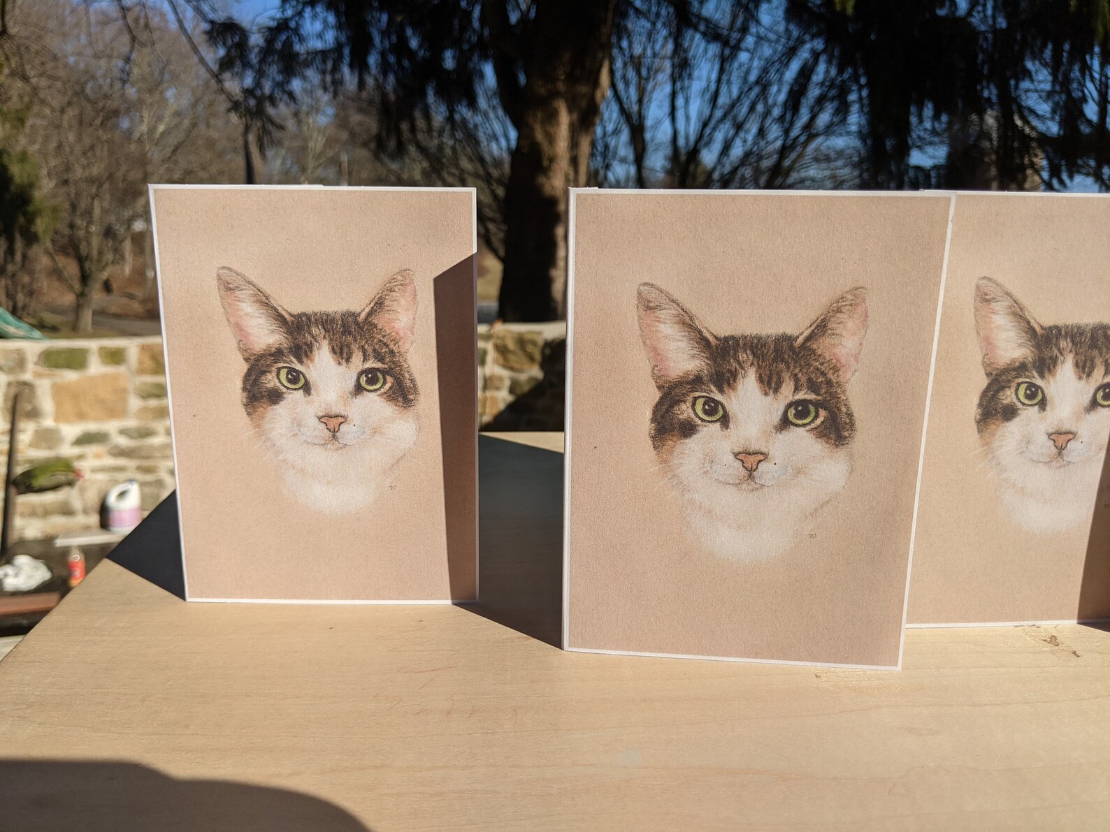 4x5.5 Cat Note Cards. Prints From My Original Artwork Set of - Etsy
