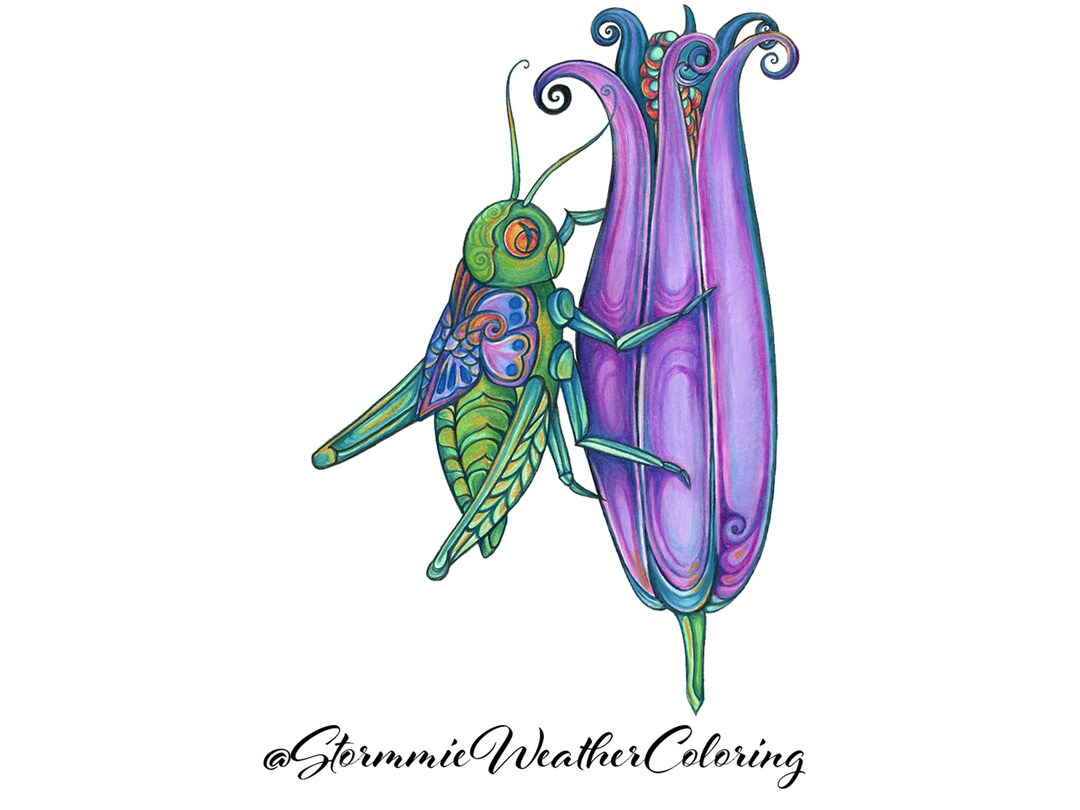 Grasshopper, Color Page, Instant Download, Stormmie’s Creatures ...