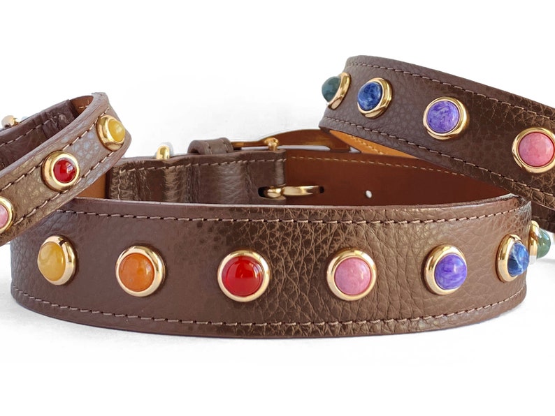 Leather Dog Collar to Celebrate Pride With a Full Spectrum of Chakra ...