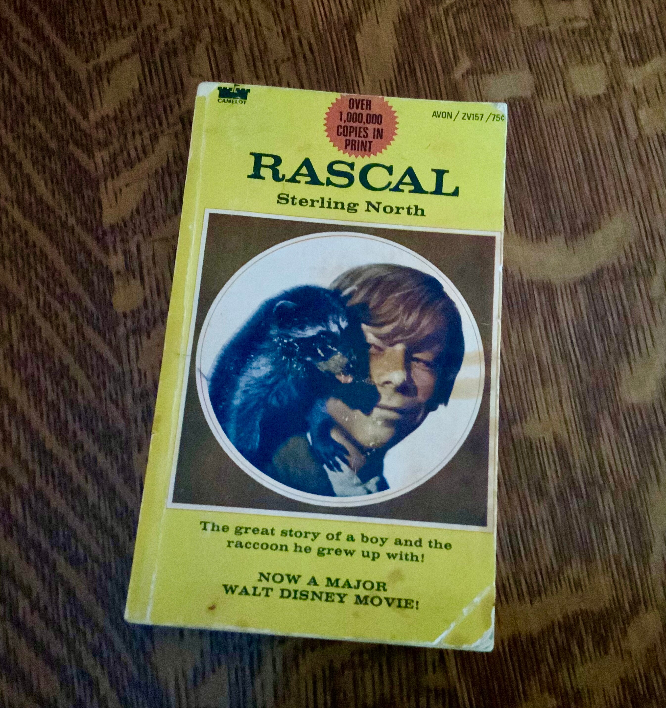 Rascal Sterling North Movie