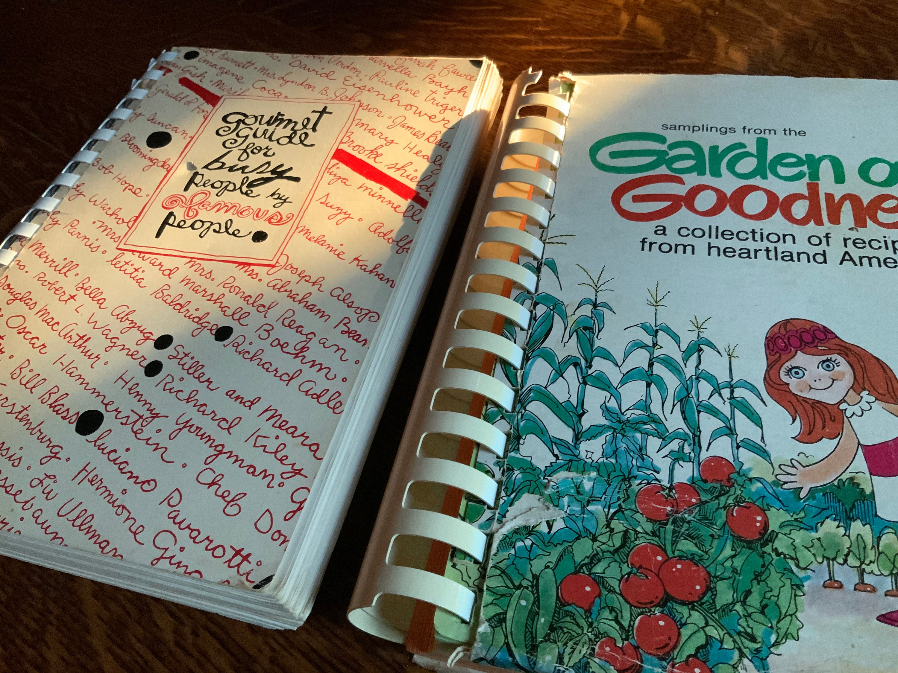 Robert Shields Diary