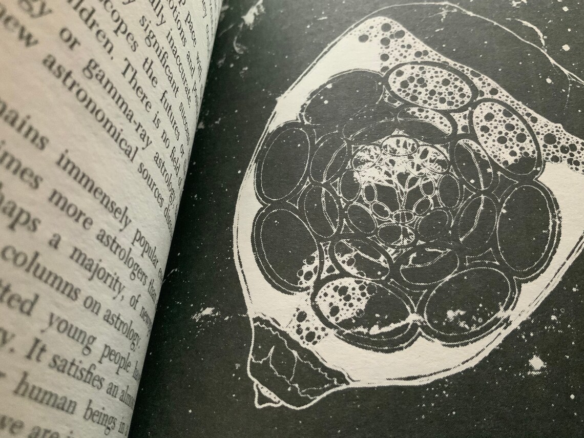 The Cosmic Connection by Carl Sagan 1975 Shabby Paperback With - Etsy