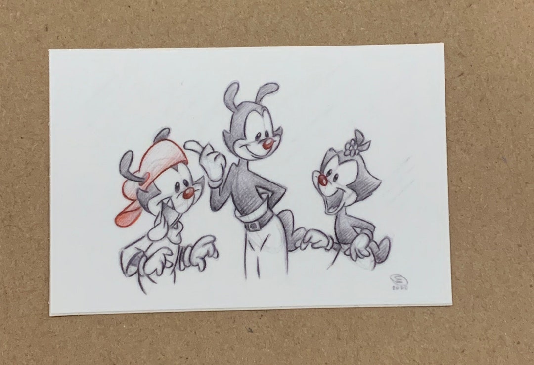 Animaniacs Sticker - Etsy