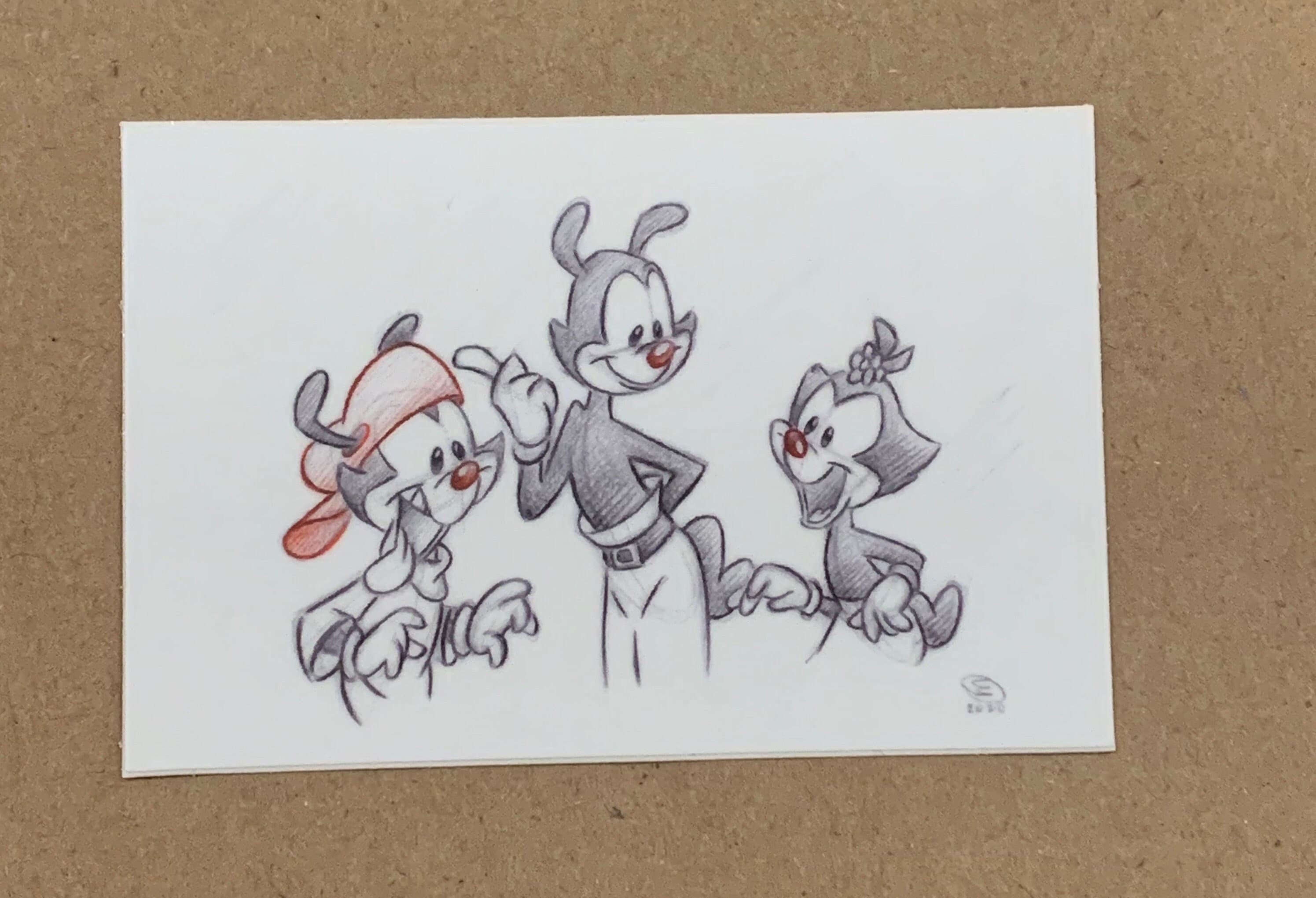 Animaniacs Sticker - Etsy