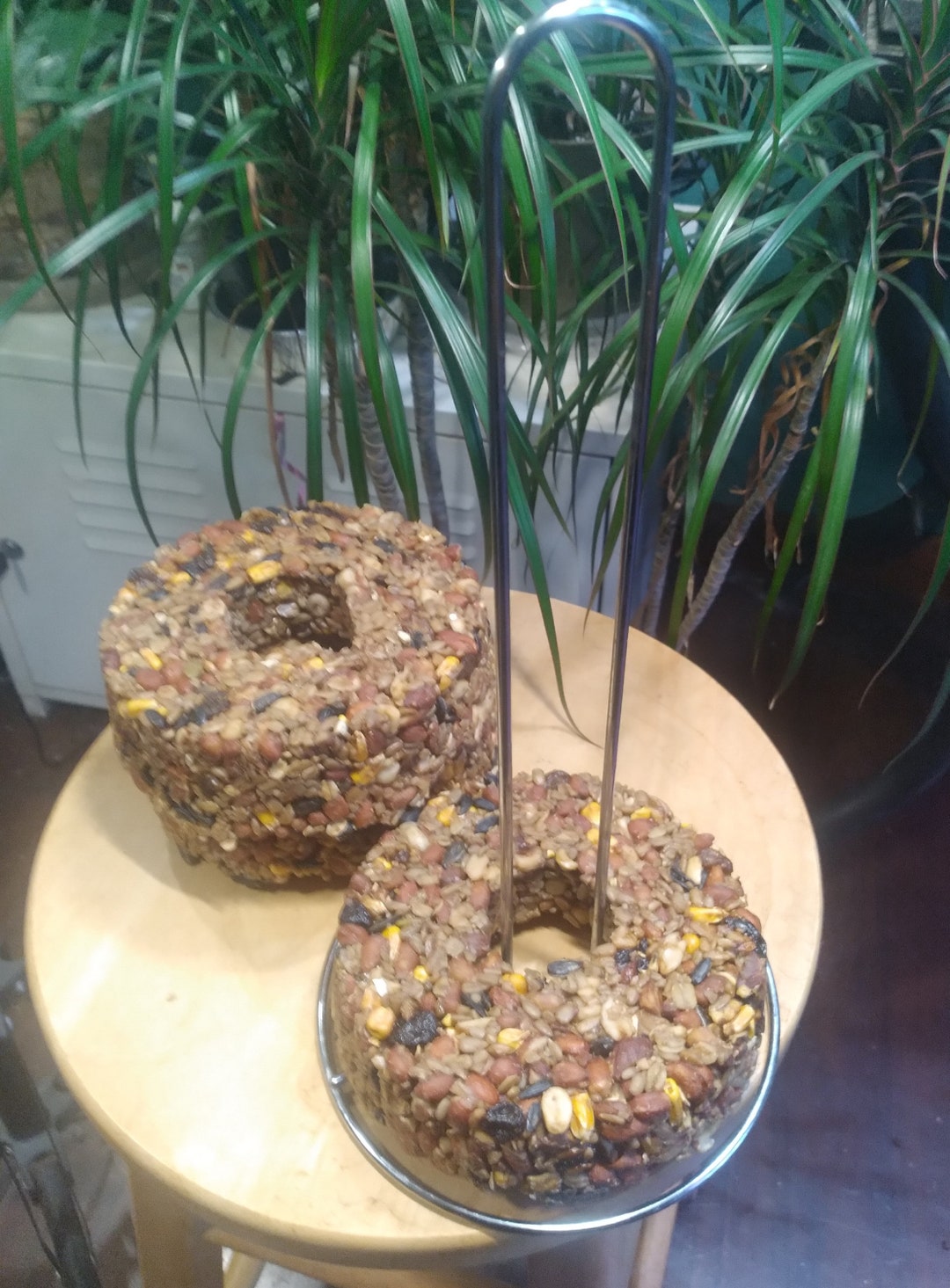 Large Bird Seed Doughnut Bird Seed Ornament Bird Seed Cake Treats ...