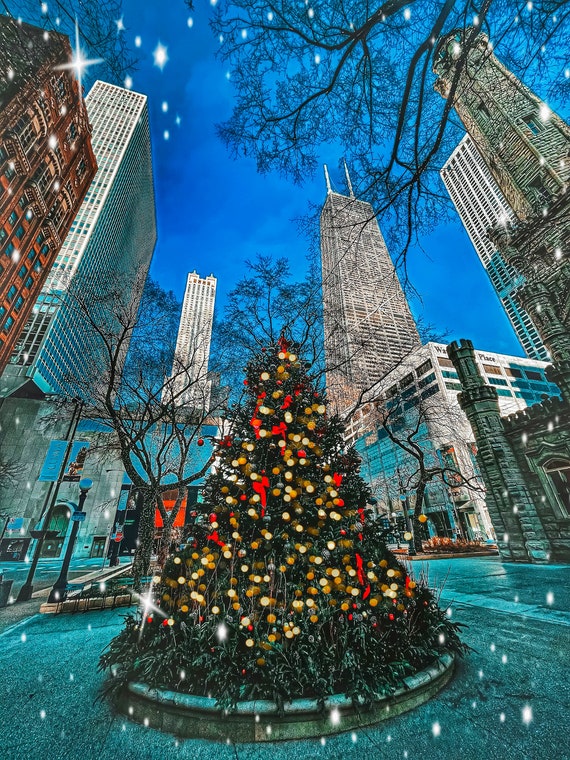 Chicago Christmas Tree