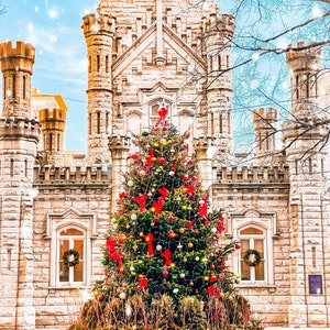 Chicago Water Tower Christmas Tree, Chicago Photography, Chicago Wall ...