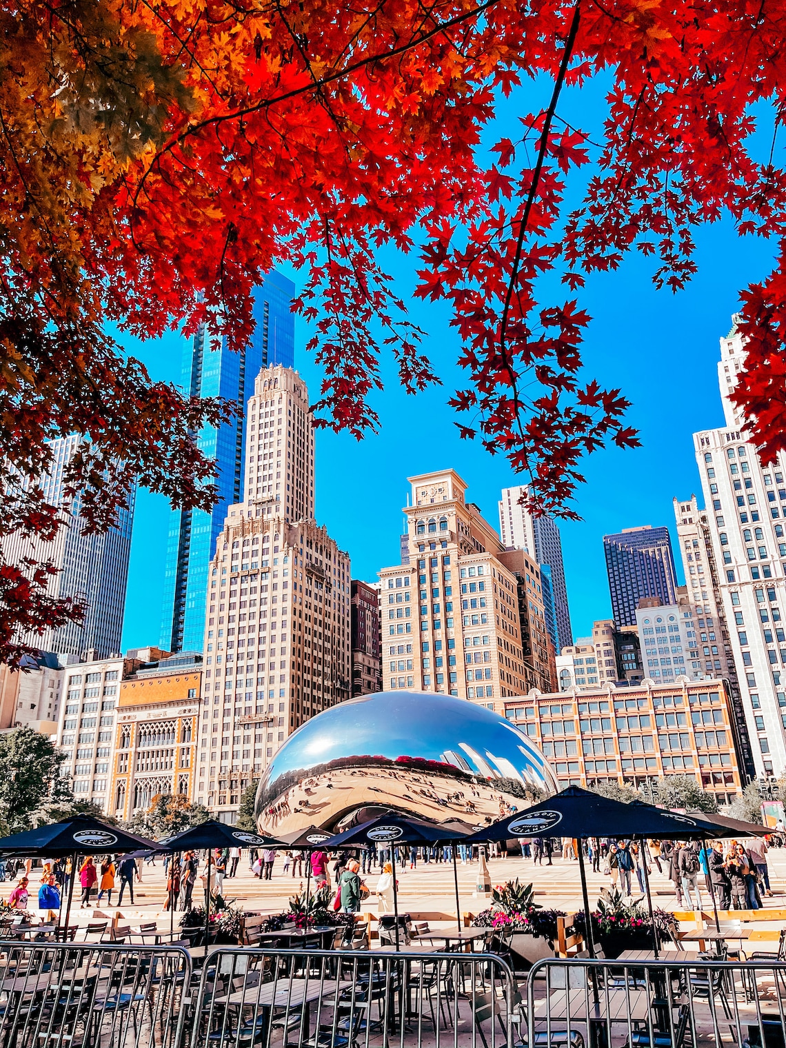 Chicago Bean Photo, Cloud Gate Print, Chicago Autumn Photography ...