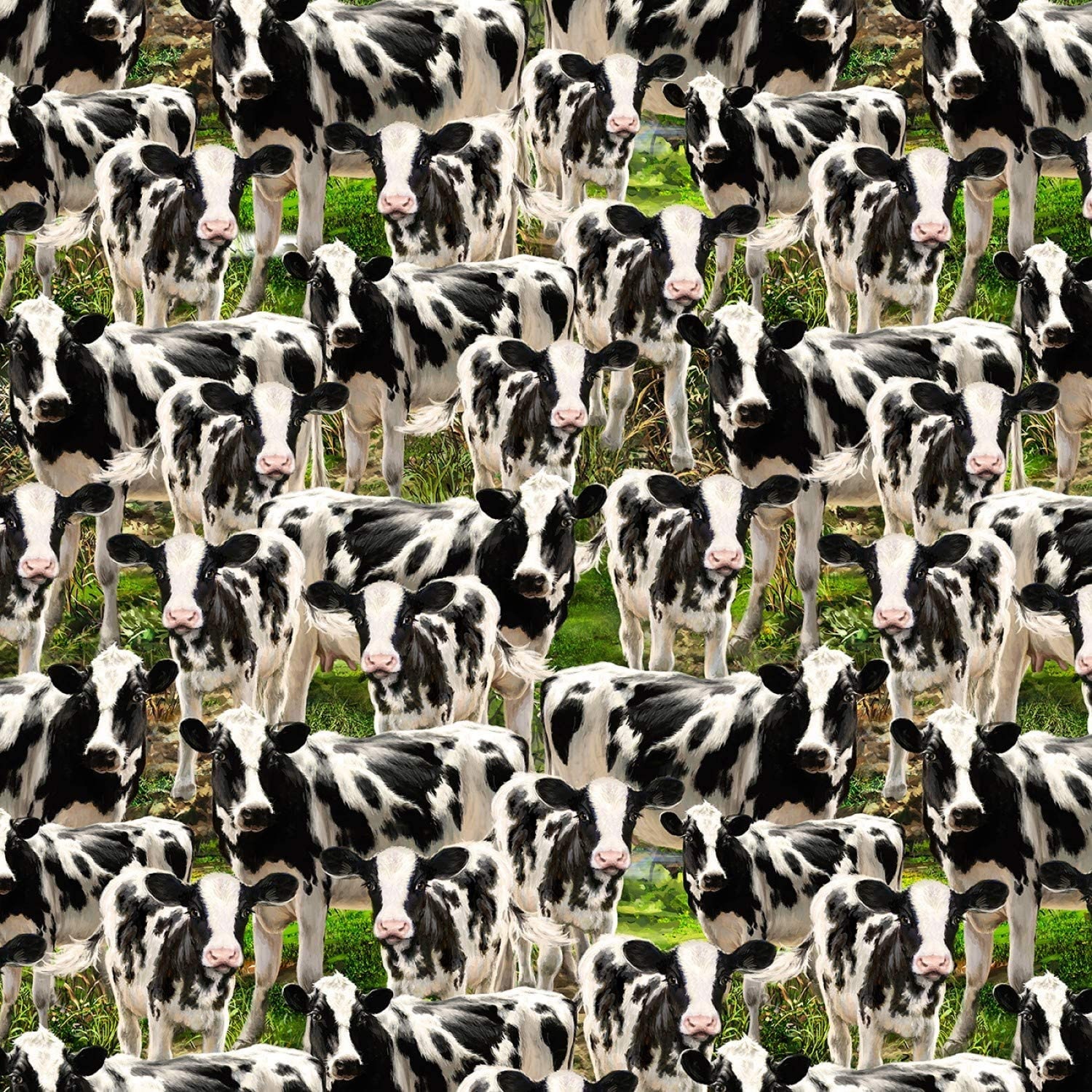 Cow Fabric Farm Animal Fabric: Timeless Treasures Country - Etsy