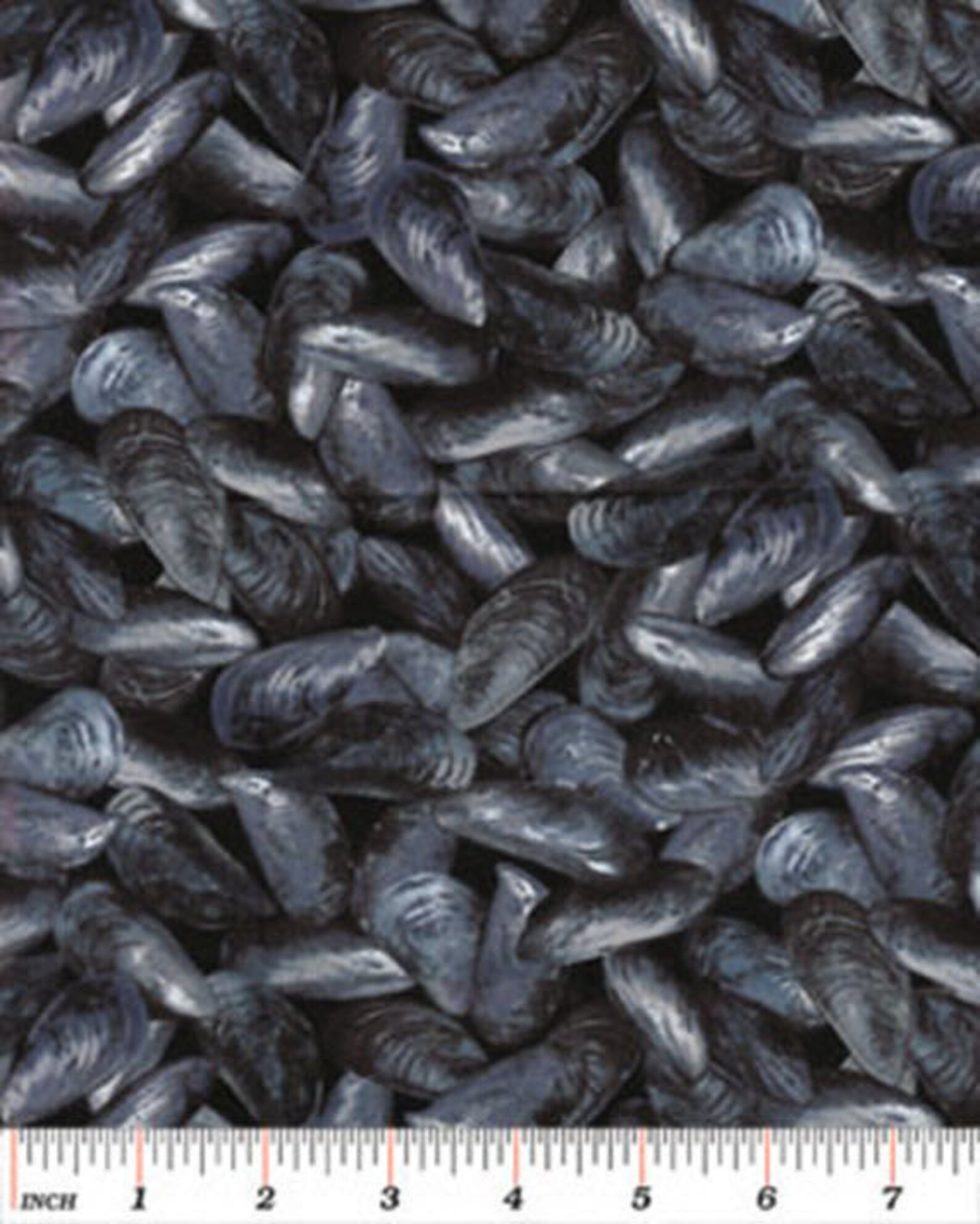 Ocean Fabric Mussel Fabric: Maine Attraction Mussel Beach by - Etsy