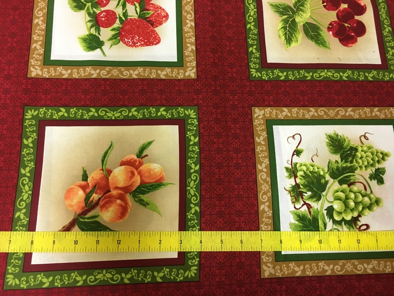 Fruit Fabric: Fabri-quilt Fresh Harvest Fruits Blocks Panel - Etsy