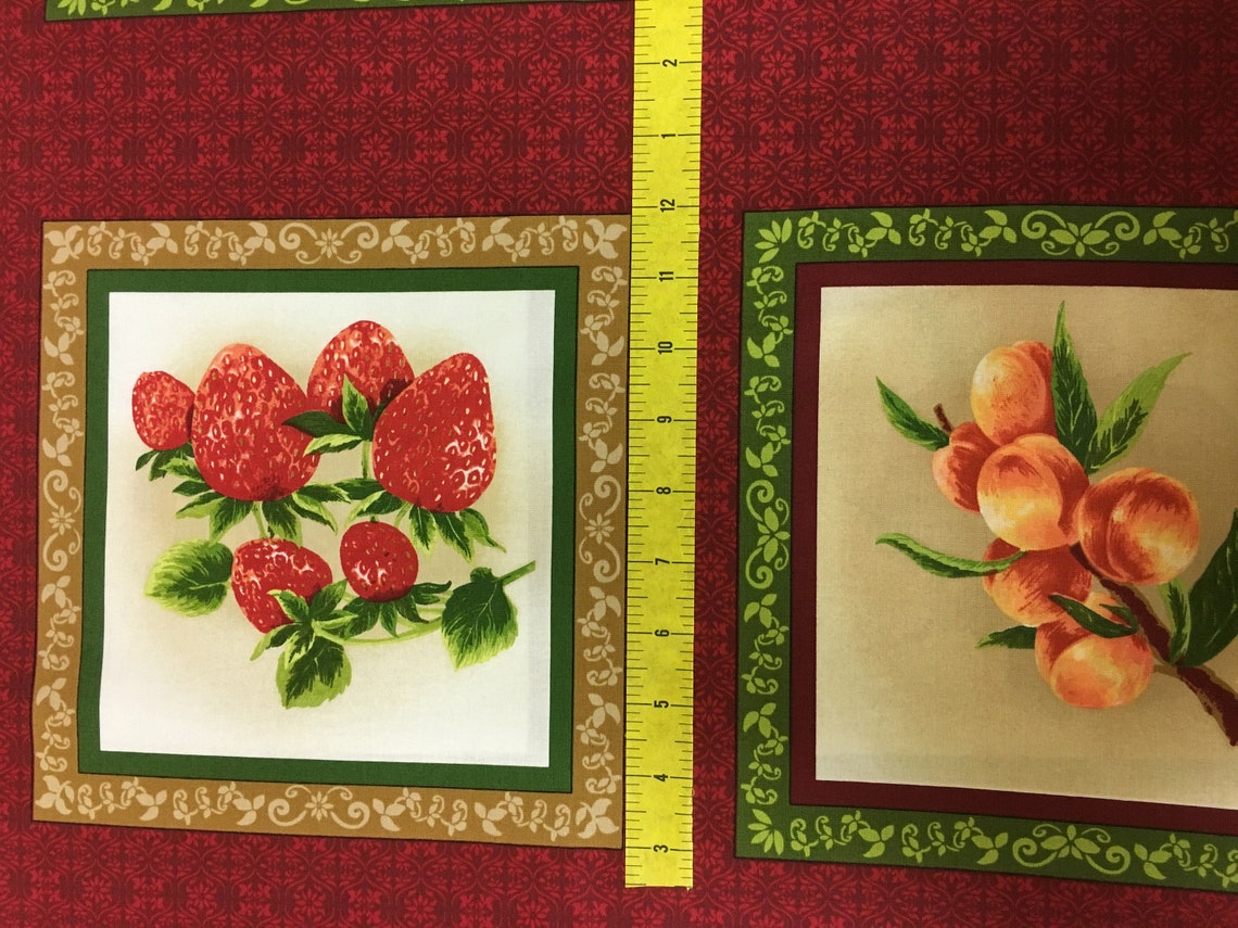 Fruit Fabric: Fabri-Quilt Fresh Harvest Fruits Blocks Panel | Etsy