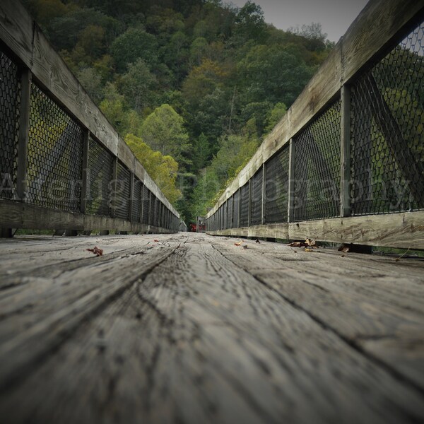 Macro Still Life - Etsy