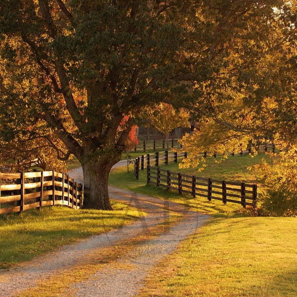 Country Photography - Etsy