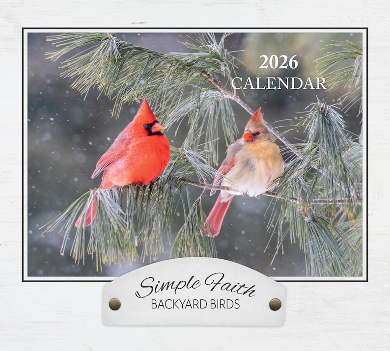 Simple Faith Backyard Birds Calendar 2026 #56104 - Etsy