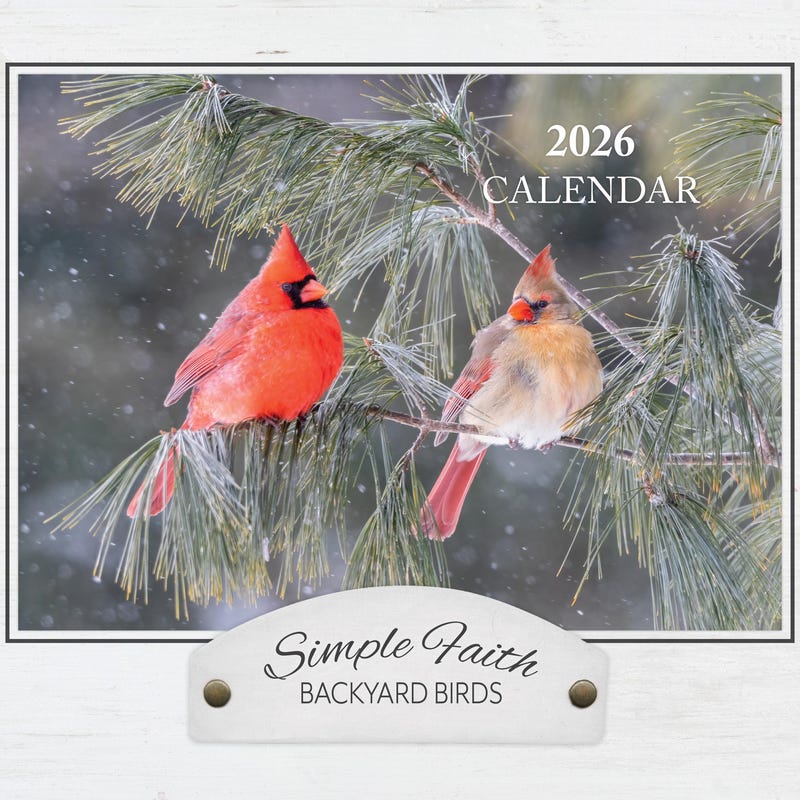 2026 Bird Calendars - Etsy