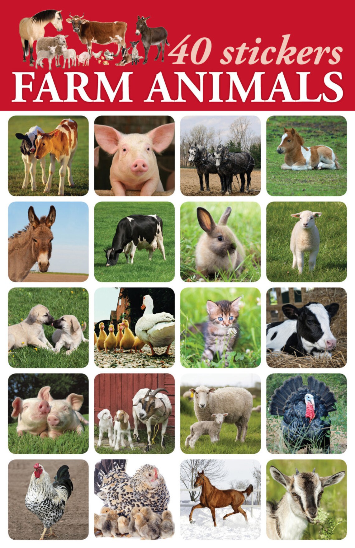 Farm Animal Stickers - Etsy