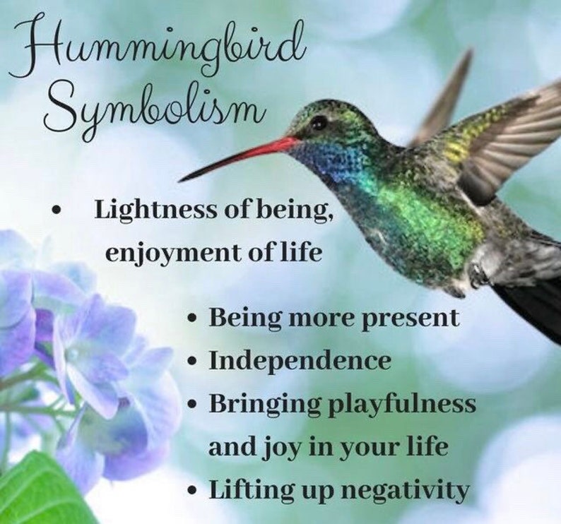 Fluorite Hummingbird Aromatherapy Healing Bracelet - Etsy