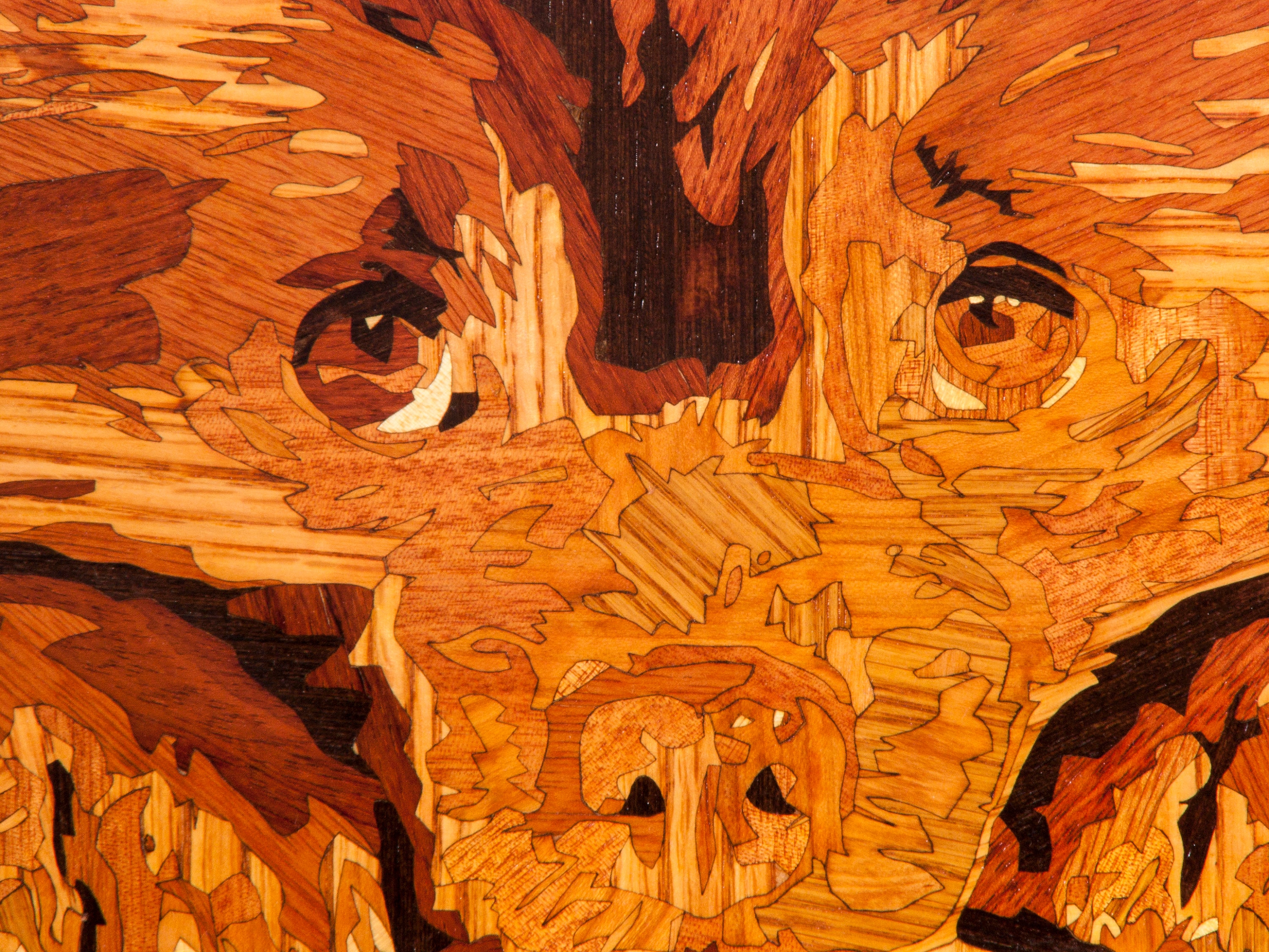 Pomeranian Puppy Dog Portrait Inlay Framed Mosaic Wood Panel - Etsy